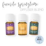 Favorite Springtime Diffuser Blend | April Masterson