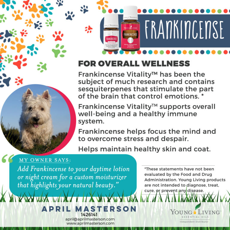 How to Use Essential Oils with Dogs – Part 1 | April Masterson